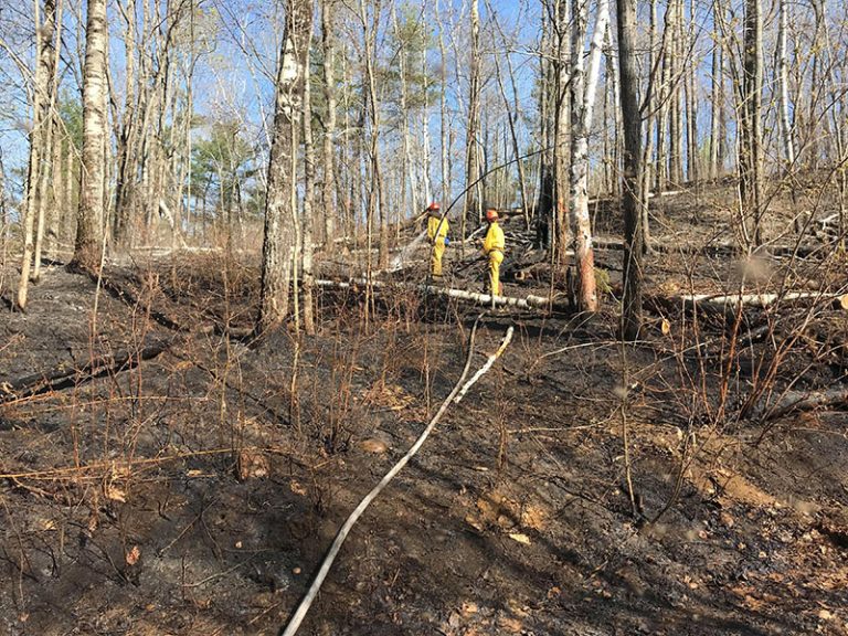 Fires keep Otter Lake department busy - The Equity