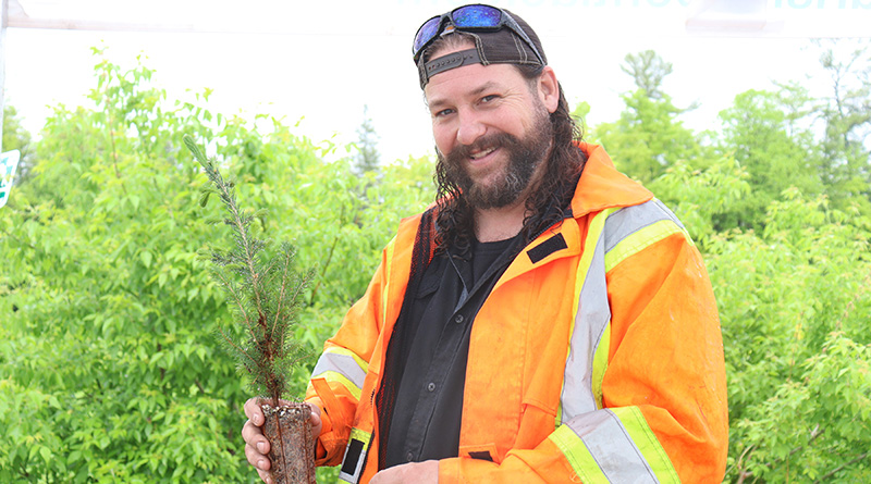 Planting Trees - The Equity